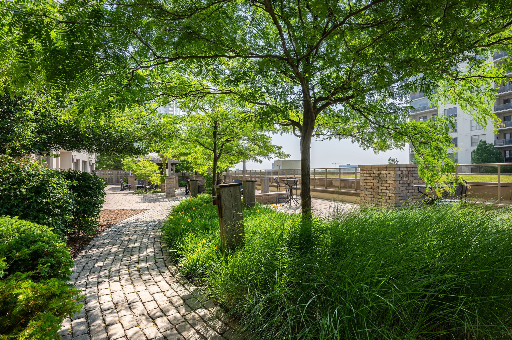 Growing Greener. How Tricar is Building Smarter With Green Roofs. - Tricar
